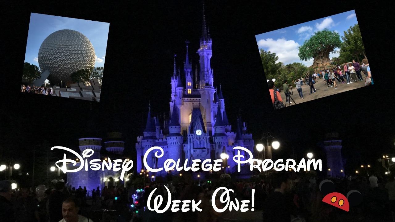 Disney College Program: Week One - YouTube