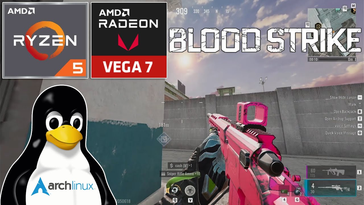 BLOOD STRIKE on LINUX - Ryzen 5 5600G & VEGA 7 iGPU - YouTube