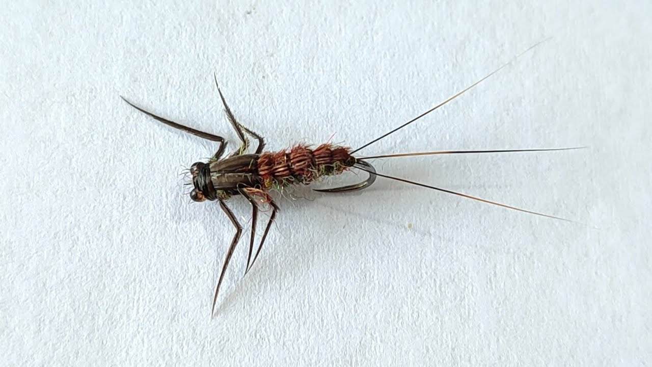 Fly Tying - Pheasant Tail Mayfly Nymph - YouTube