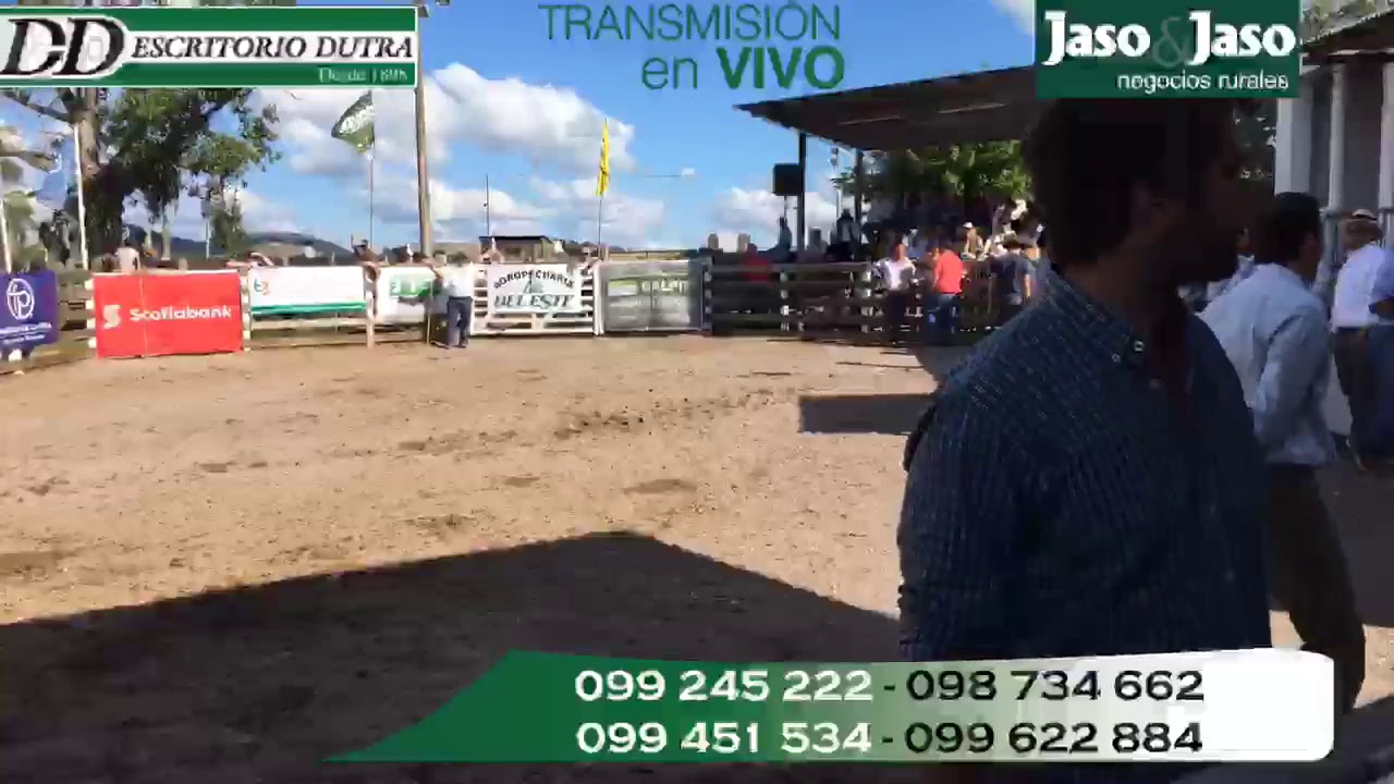 Escritorio Dutra y Jaso&Jaso - YouTube