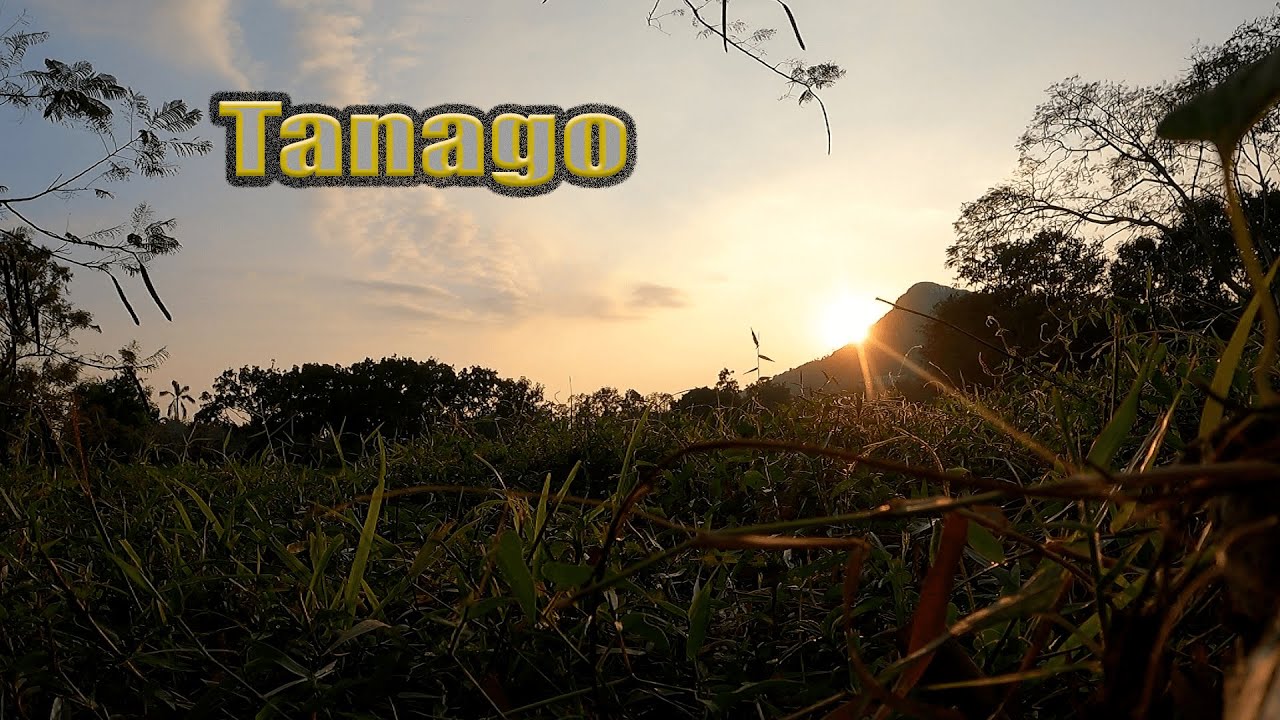 Tanago ตกปลาเล็ก - YouTube