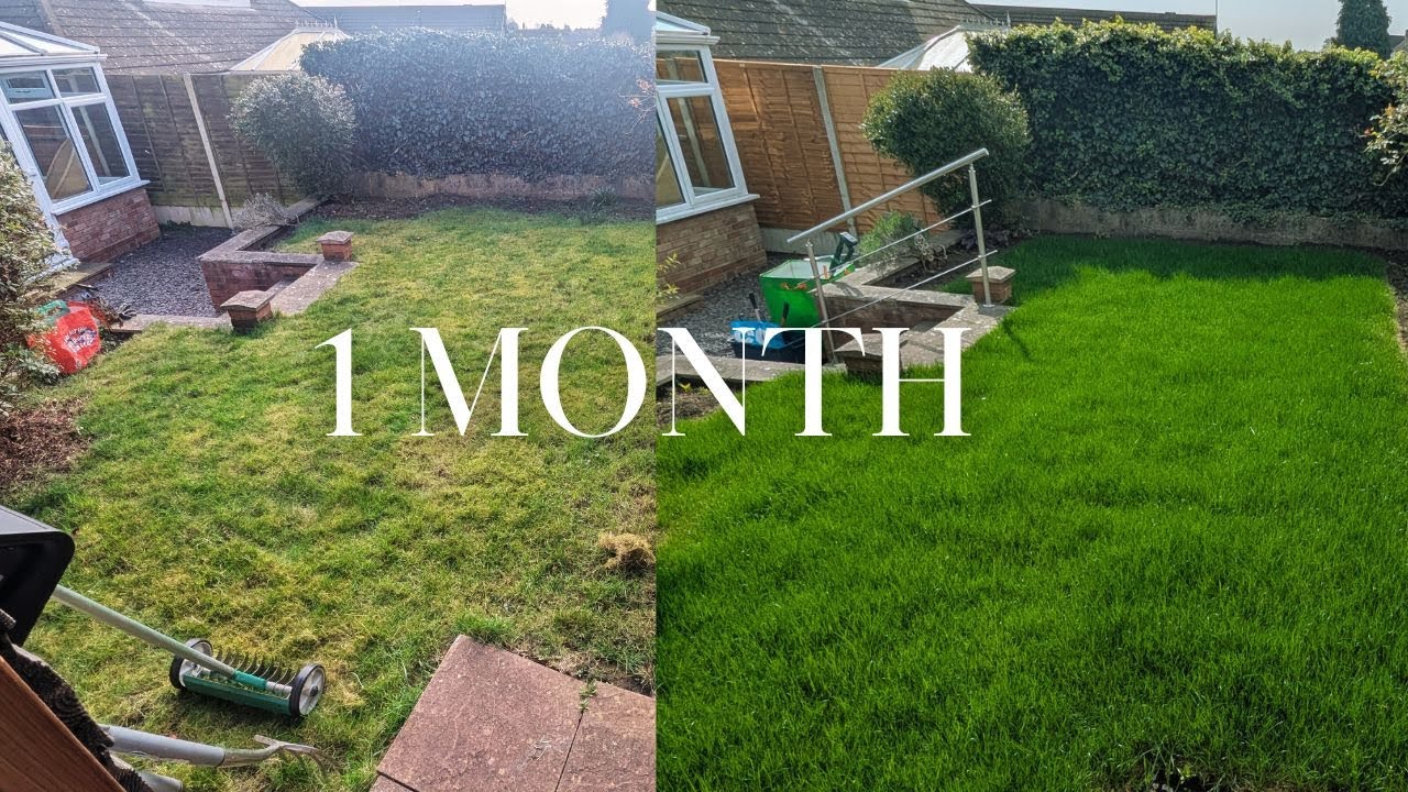 Lawn Turf Replacing DIY Full Video Start to Finish - YouTube