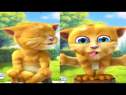 new funny video talking ginger funny 😹 cat | talking ginger 2 mod apk ...