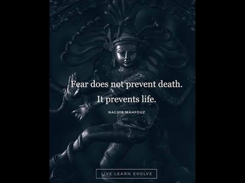 ORGANIC PORTALS SOULLESS SPIRITLESS HUMANS in The Spiritual Movement 2 ...