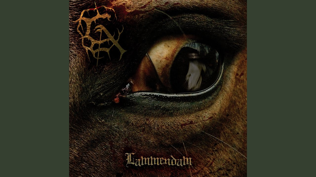 Invisible Physic Entity - YouTube