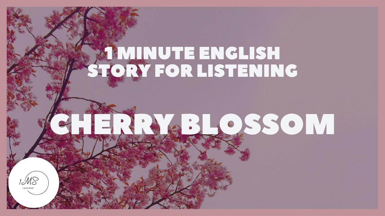 1 Minute English Story for listening Cherry blossom | Reading and ...