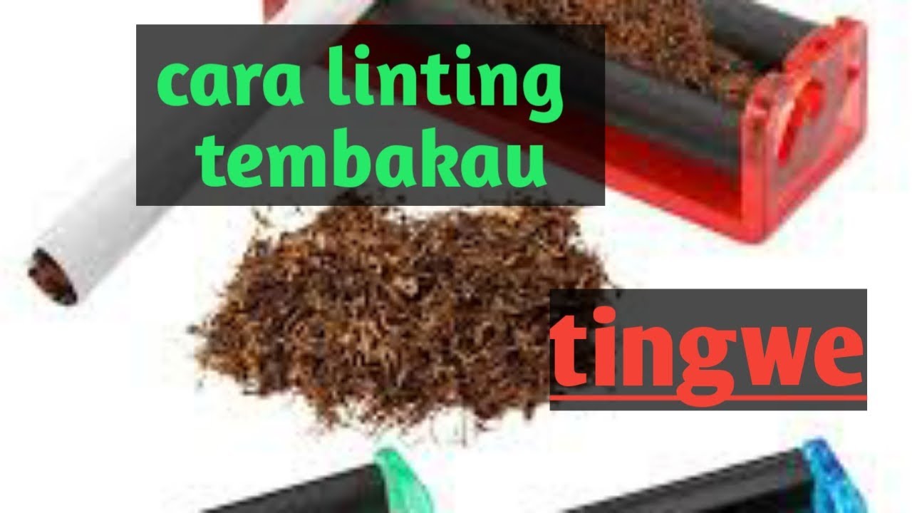 cara linting tembakau ..tingwe.. - YouTube