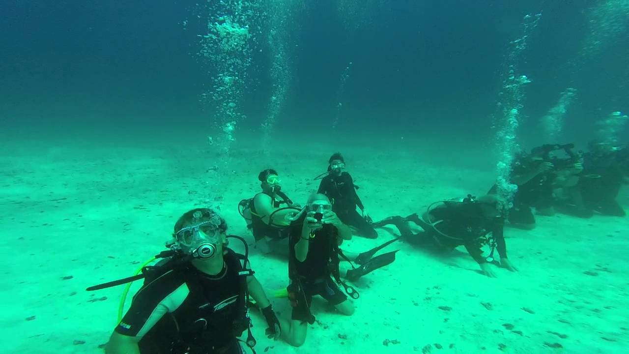 Split Coral Head SHARK DIVE - YouTube