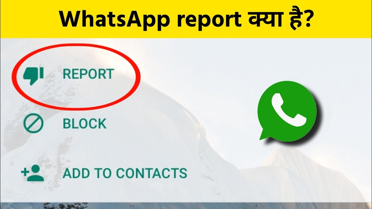 WhatsApp report kya hai? How to report someone on WhatsApp | WhatsApp ...