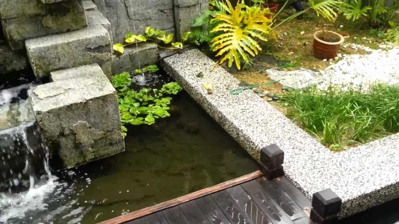 DreamPonds (S-0011-01) Before using Eco-Sand System - YouTube
