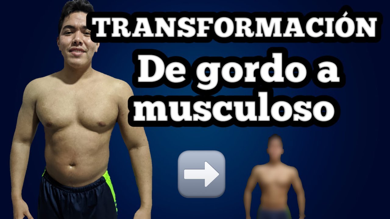 TRASFORMACIÓN DE GORDO A MUSCULOSO | TRANSFORMATION FROM FAT TO MUSCLE ...