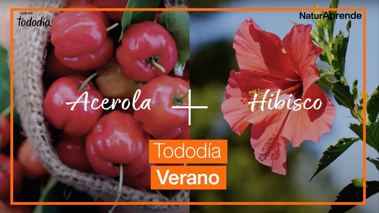 Nueva línea de Tododia Verano: ACEROLA E HIBISCO - YouTube