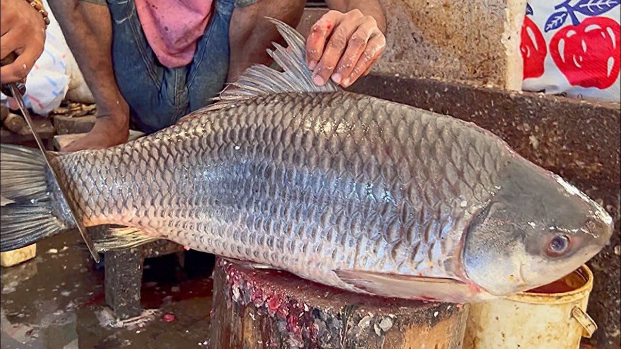 Amazing Big Rohu Fish Cutting Skills Live In Fish Market | Incredible ...