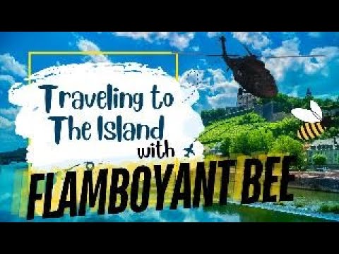 Flamboyant Bee GTA RP - YouTube