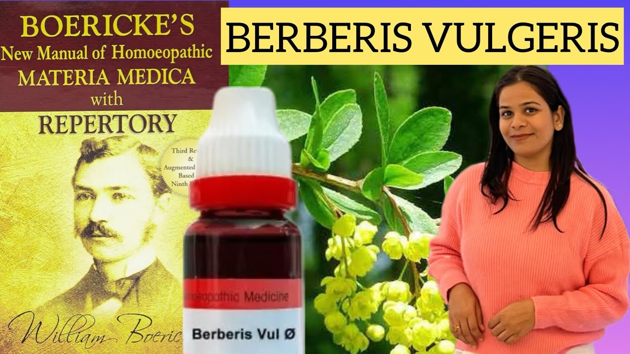 BERBERIS VULGERIS homeopathic mother tincture in Hindi - YouTube