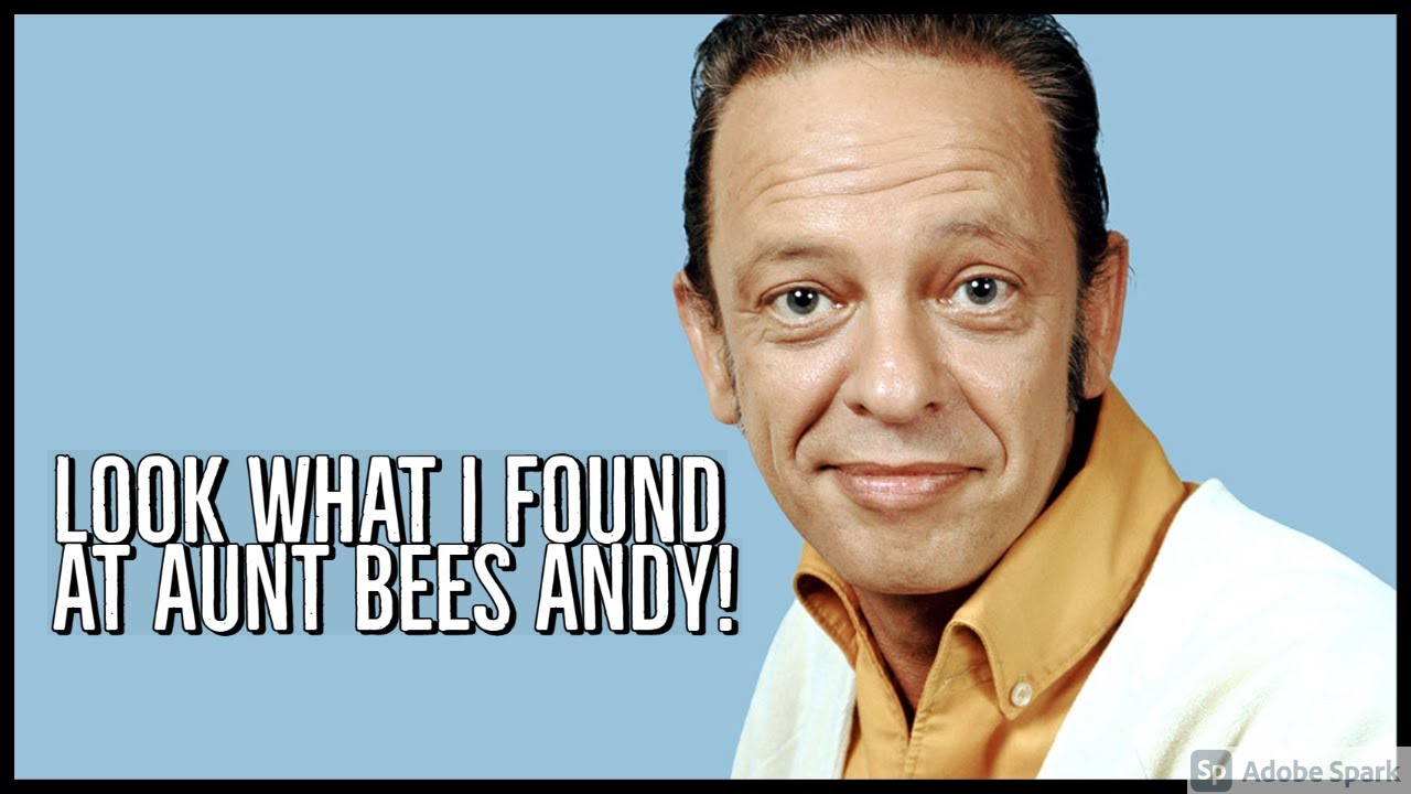 Don Knotts Daughter Confessed Why She Had To Run Away From His Deathbed To Laugh Youtube