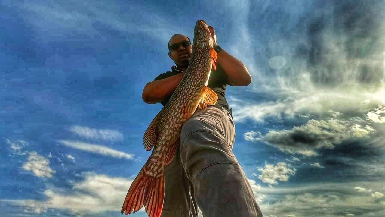 Pike attack Alberta 2020 - YouTube