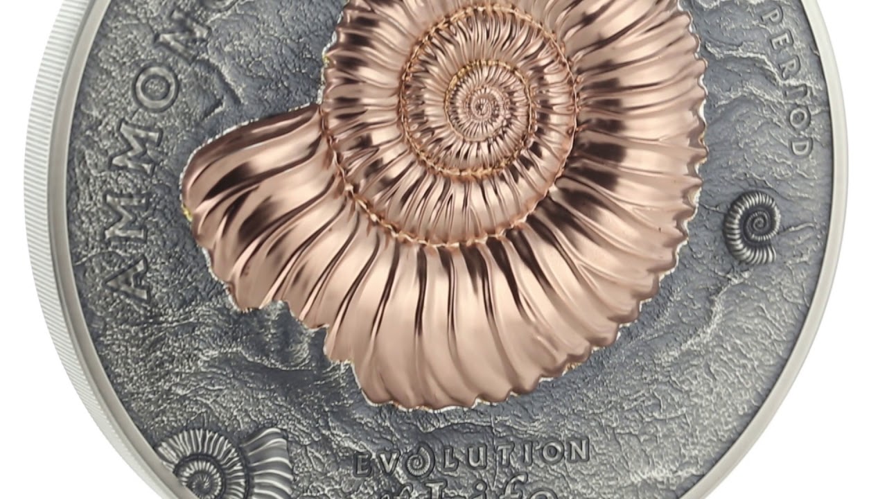 2018 Evolution of Life Ammonite kilo (AllCollect/CIT) - YouTube