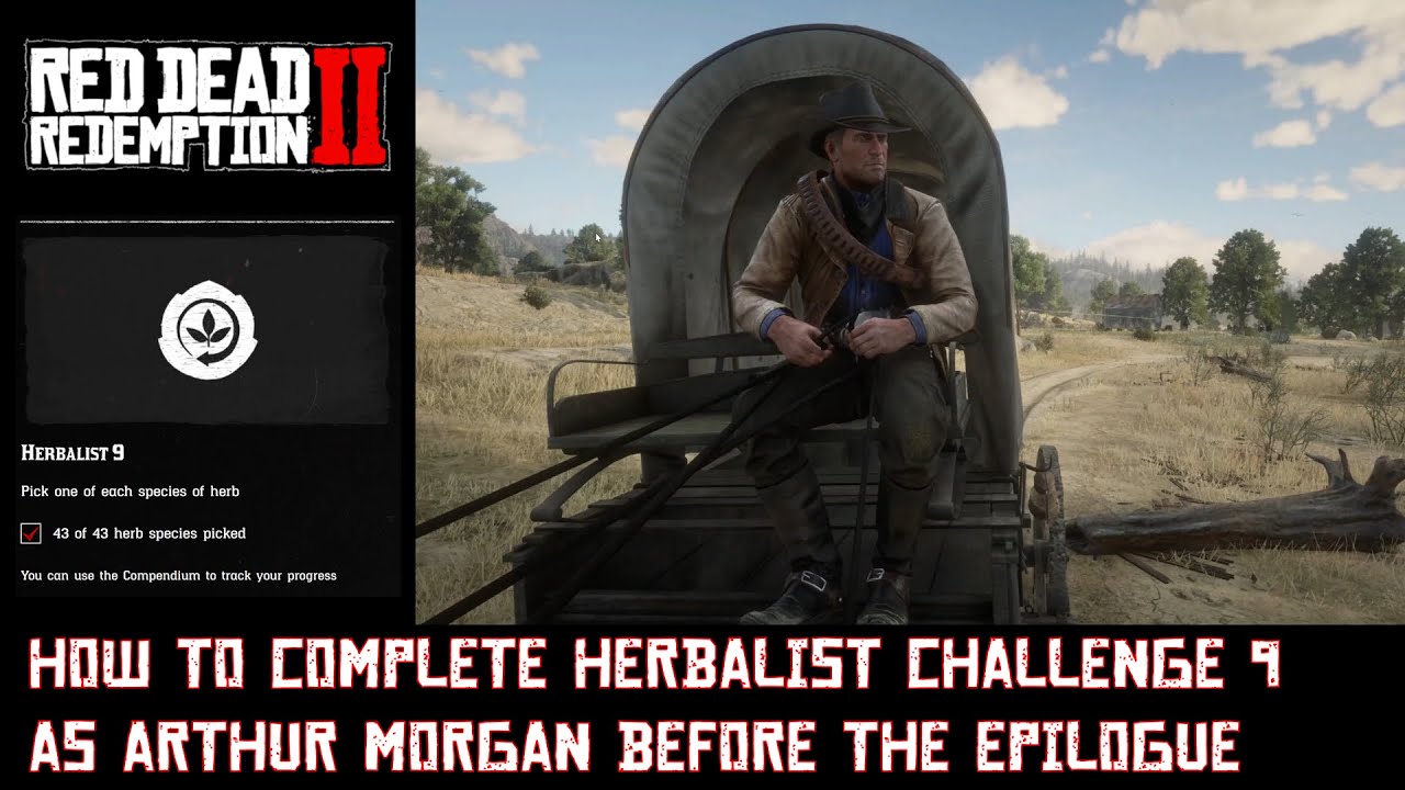 RDR 2: How to complete Herbalist Challenge 9 as Arthur Morgan - YouTube