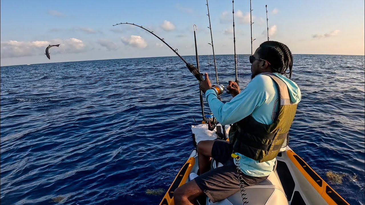 FLYING FISH! How I Catch and Cook Tuna (Tuna Melt) - YouTube