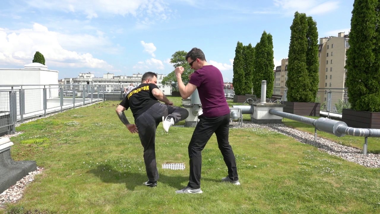 Atak wyprzedzający w samoobronie (preemptive attack in self-defence ...