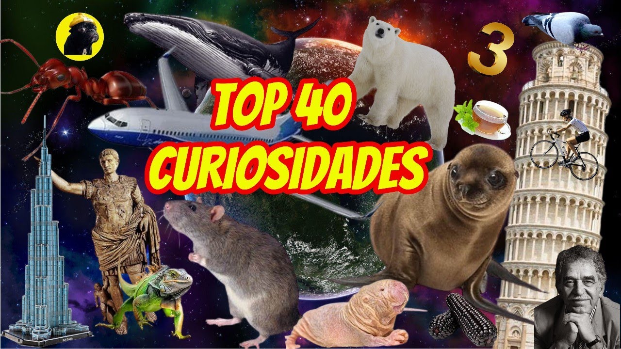 Top Curiosidades Que No Sabias - YouTube