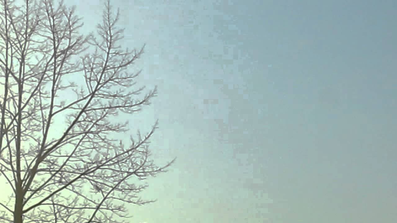 nov.18, 2011 - YouTube