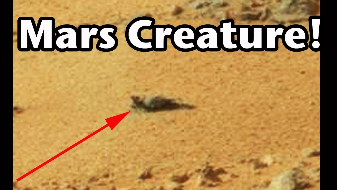Strange Creature on Mars Photographed - YouTube