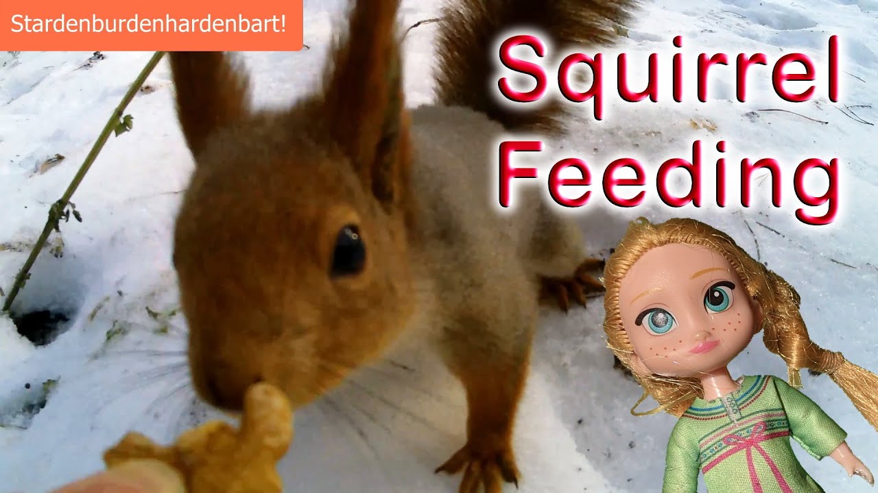 Feeding the Squirrels: Frozen Family at the Park - YouTube