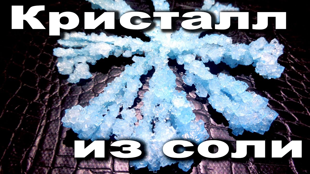 Как вырастить кристалл из соли! Опыты для детей! - YouTube