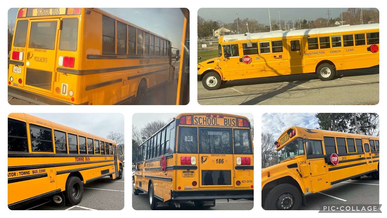 1K Subscribers Special - School Bus Spotting a LOT of School Buses ...