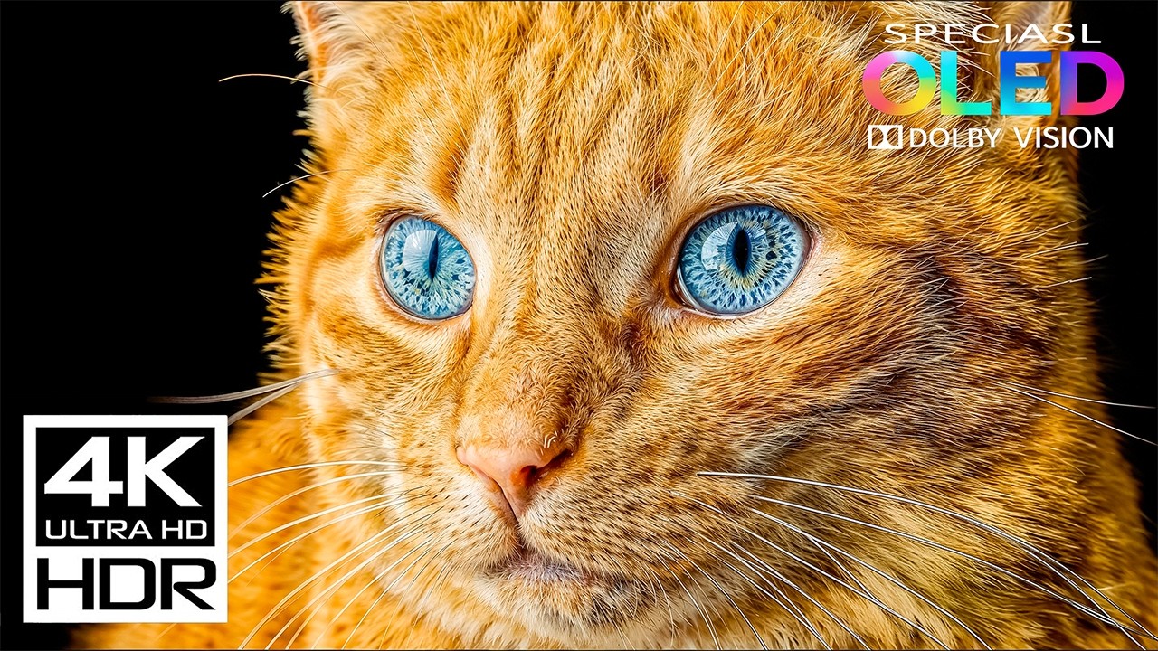Ultra HDR Cinematic 4K OLED Test | Dolby Vision • Stress Relief Music ...