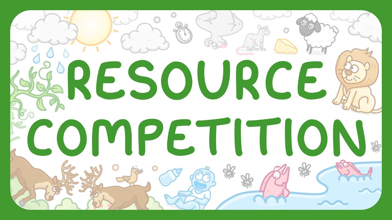 Resource Competition (Middle School Science) - YouTube