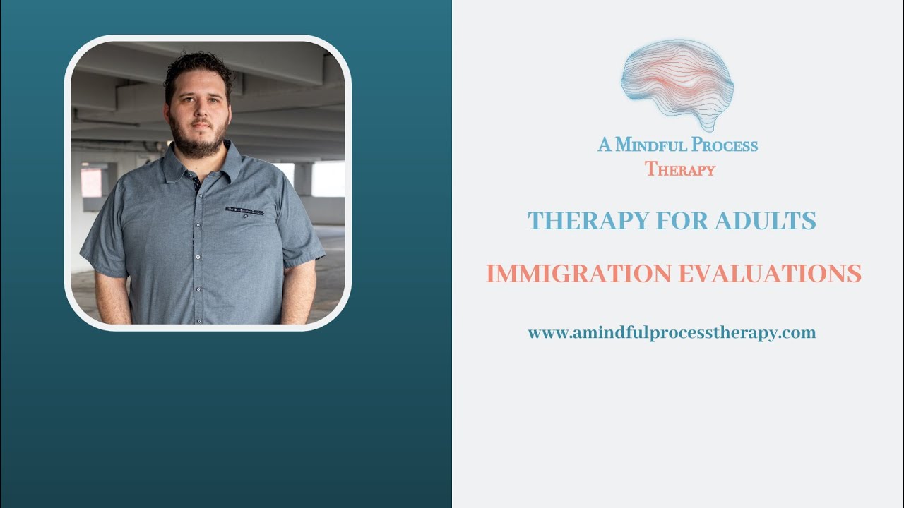 Immigration Evaluation / Psychological Evaluation process - A Mindful ...