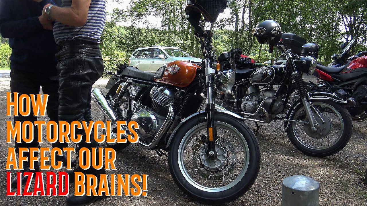 Why do We ride Motorcycles & How do they affect our Lizard Brains ...