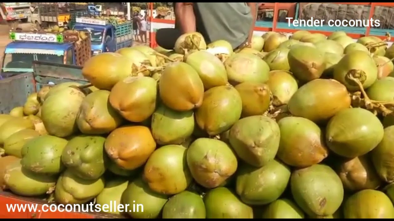 Tender coconut loading from wholesale market - YouTube