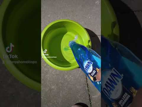 WINDOW CLEANING HACK😳