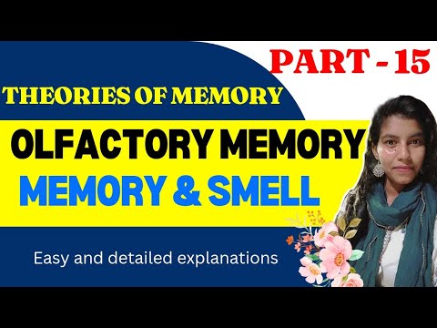 Memory and smell | Theories of memory - YouTube