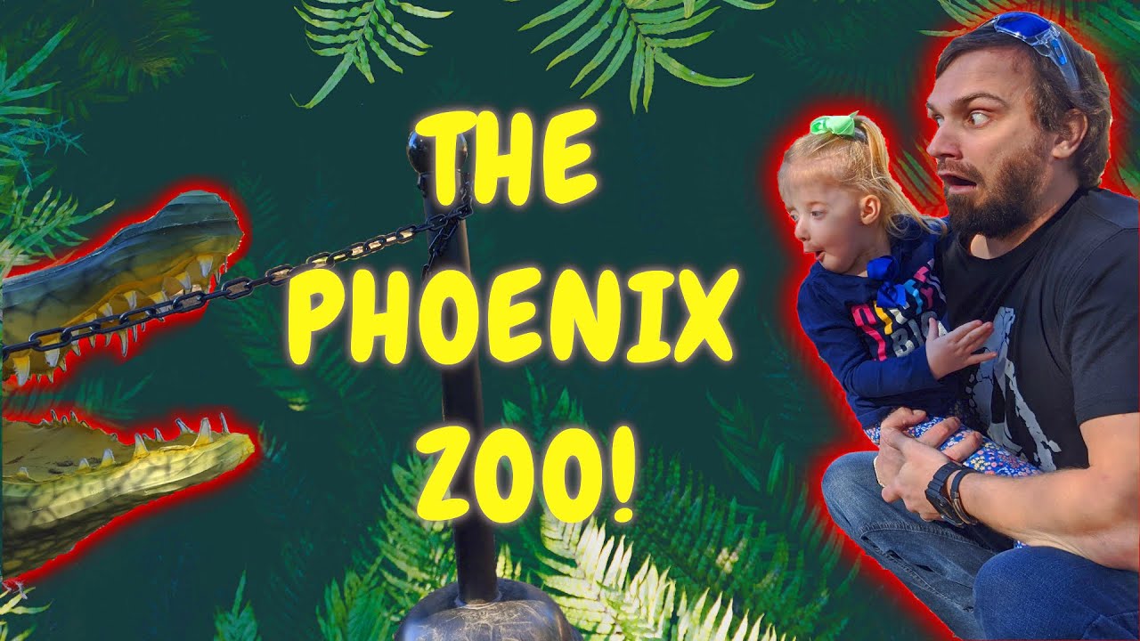 Watch out for Alligators! The Phoenix Zoo! - Adventure #10 - YouTube