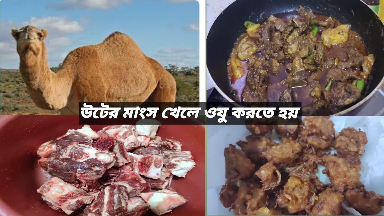 উটের মাংস রান্না করলাম সাথে চালের রুটি// I cooked camel meat with rice ...