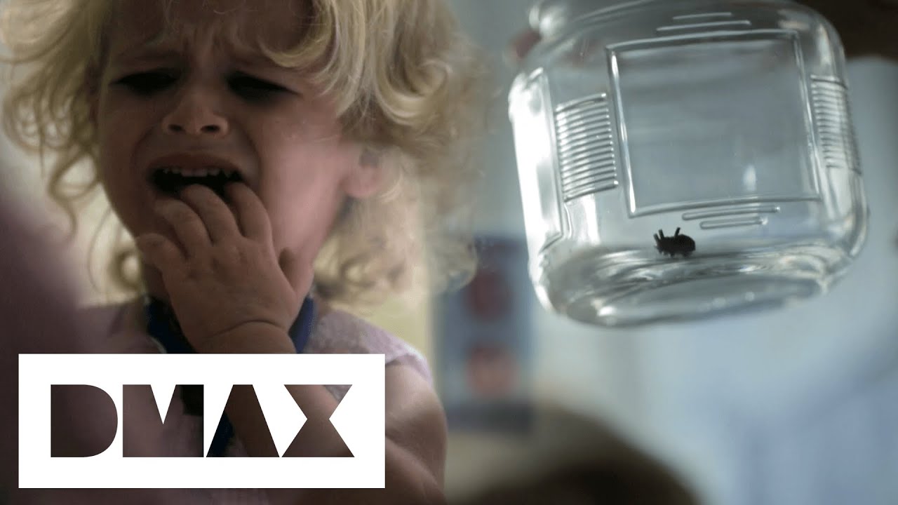 Tick Bite Infects Toddler With A Rare Disease | Monsters Inside Me ...