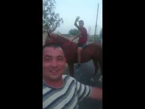 Алихан и Мартин. Сарыагаш