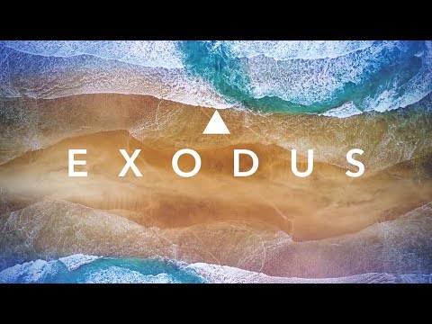 Exodus 2 Week 6 - YouTube