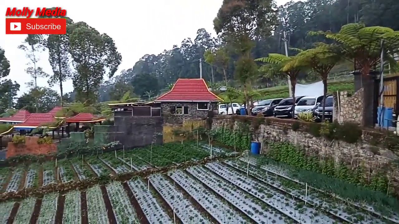 MBAH DJOE RESORT MAGETAN....TEMPAT YANG SEJUK INDAH DAN SANGATT ...