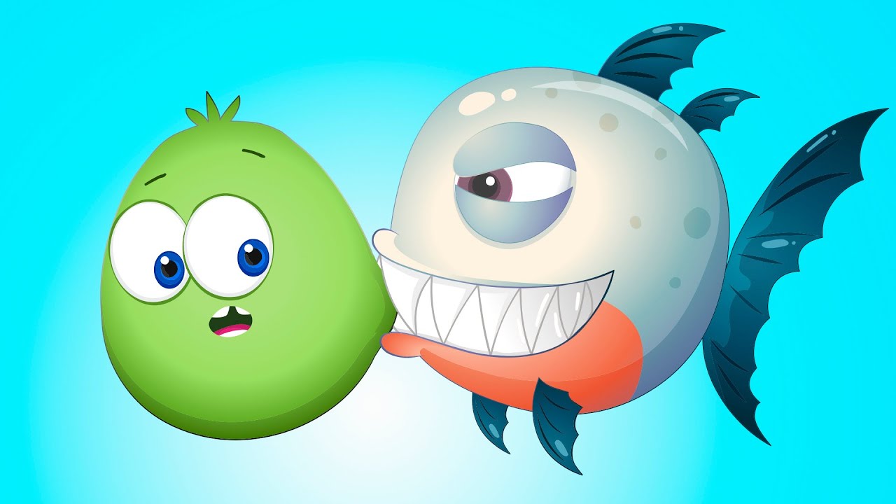 Op & Bob 2020 | NEW | Predatory Fish and Herbivore Animal | Funny ...