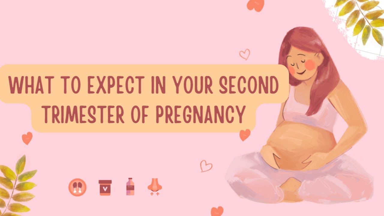 What to expect in your Second Trimester of pregnancy | Pregnancy Week ...