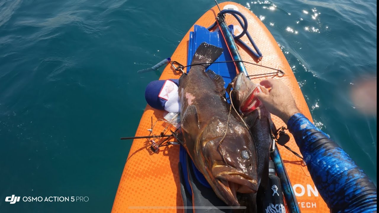Tsoor Hartov Spearfishing Israel 5.10.2024 2 groupers - YouTube