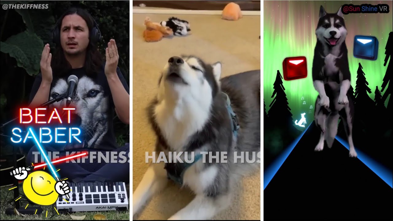 The Kiffness X Haiku the Husky X Beat Saber (Sun Shine VR) 🐕 (Expert ...
