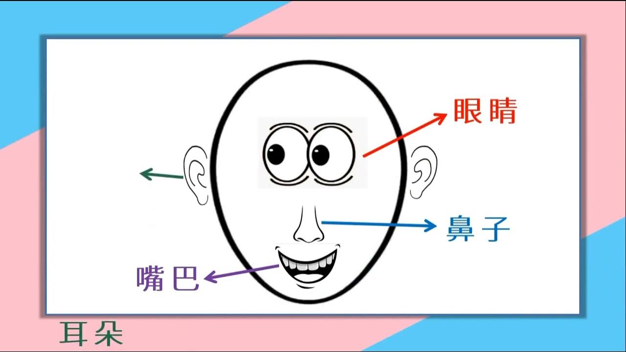 Learn Chinese || 眼睛 l'oiel/les yeux, 鼻子le nez, 嘴巴la bouche, 耳朵 l ...