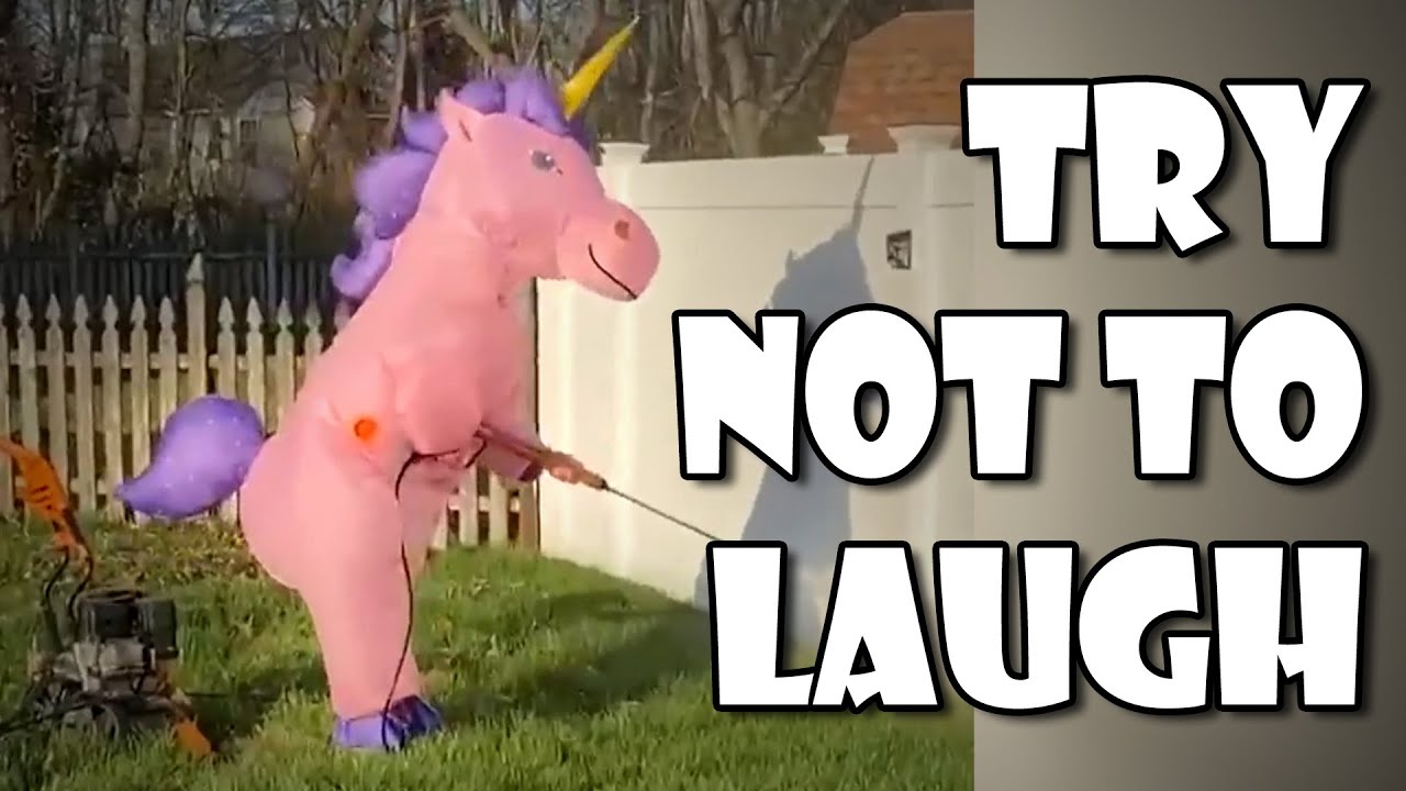Try Not To Laugh - Funny Videos Compilation 2020 | FunToo - YouTube